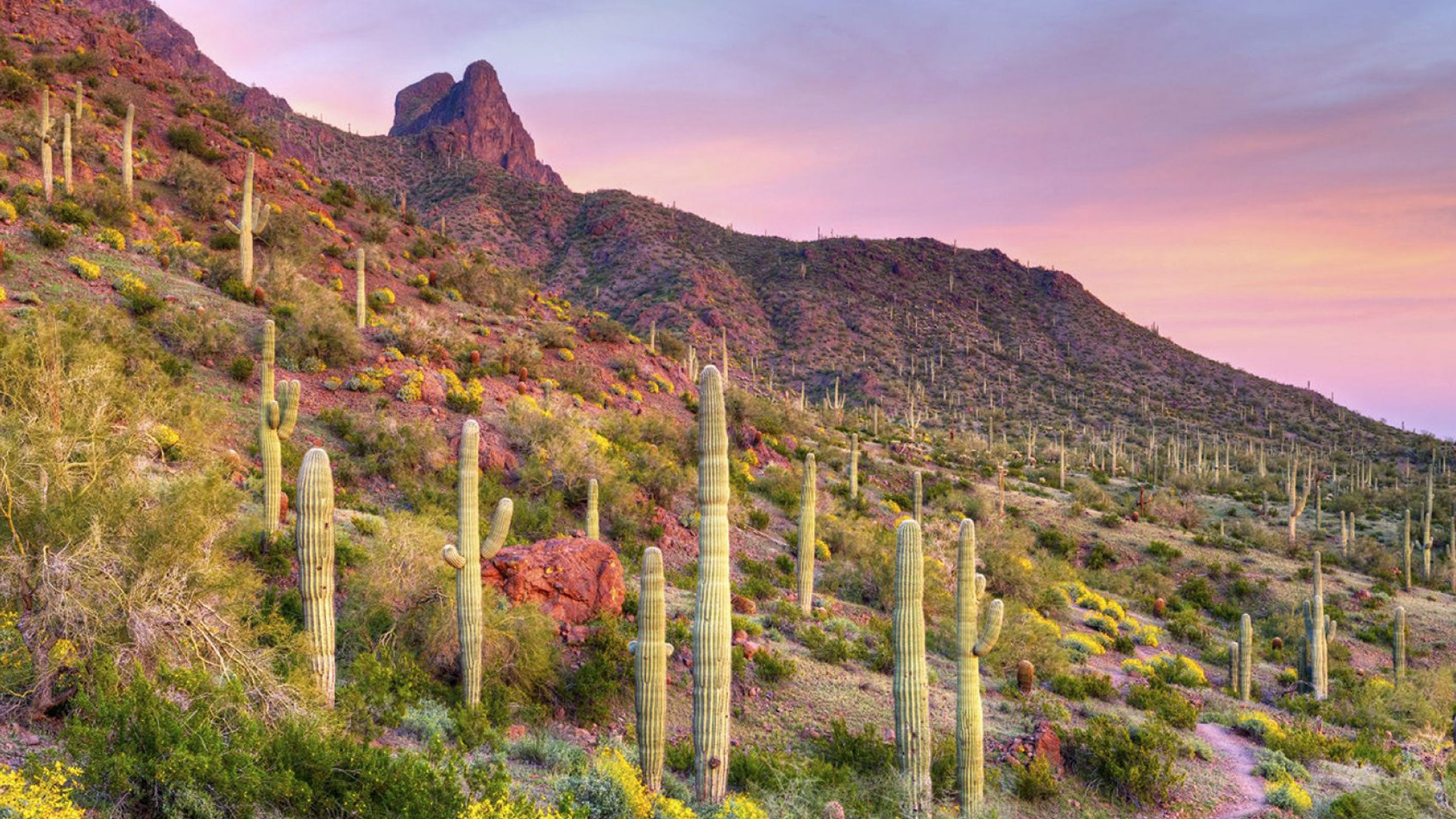 Pinal County, Arizona: 5 Great Stops Between Phoenix & Tucson